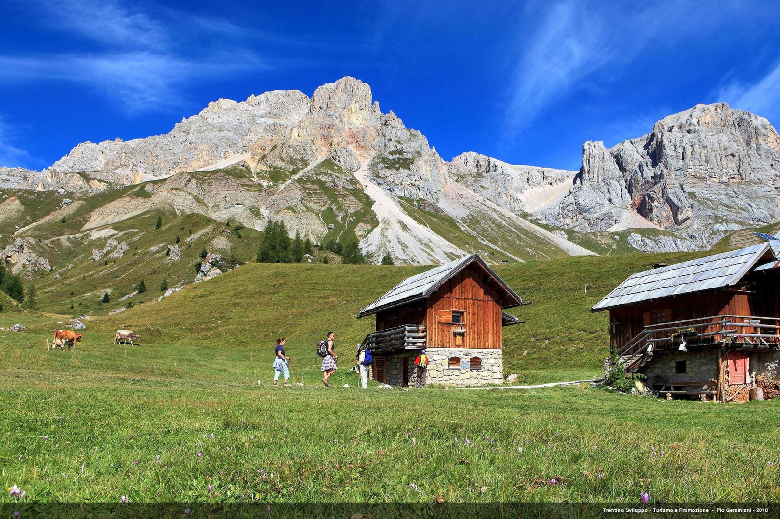 Scenic Hiking & Cultural Tour in Levico, Trento, and the Dolomites